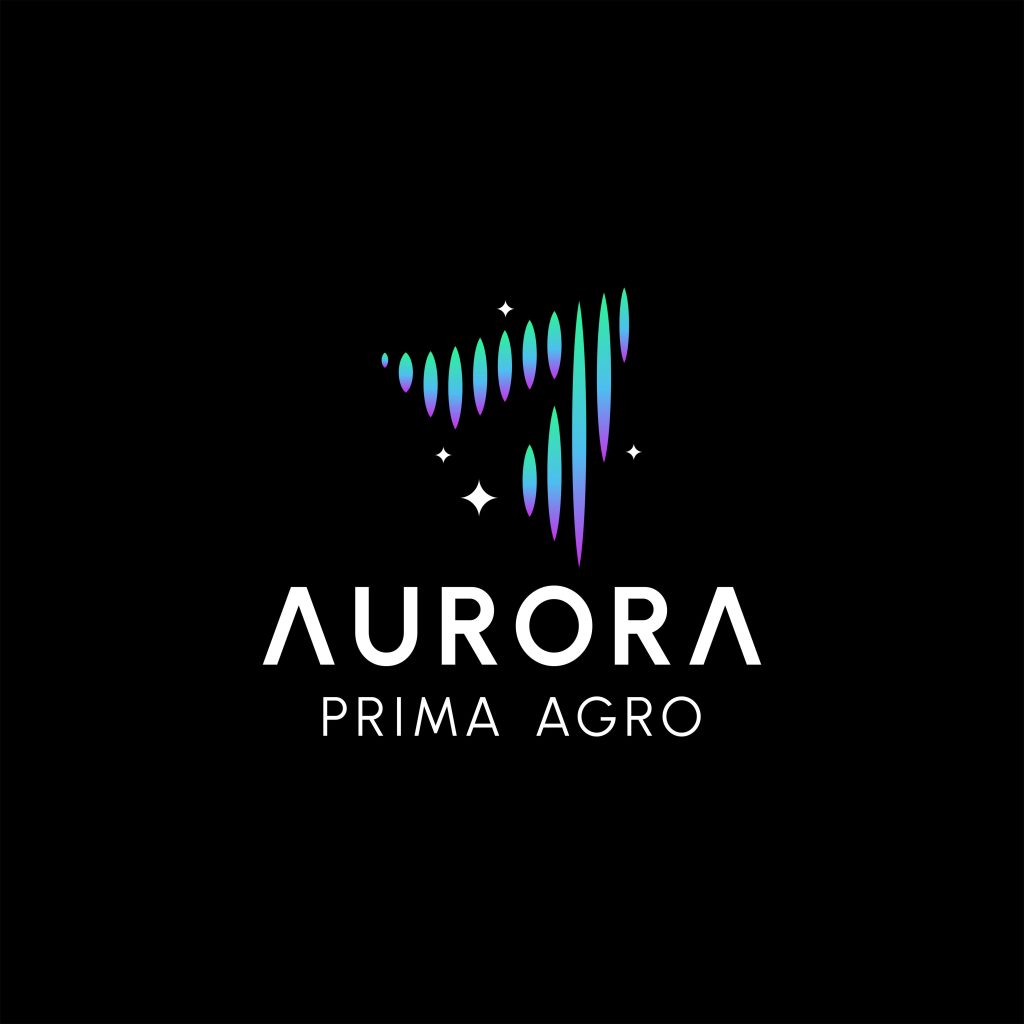 Jasa Desain Logo Online Murah Profesional (100% Bergaransi)